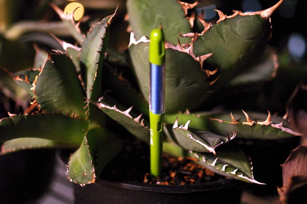 水やりチェッカー！サスティー（SUS-TEE）を使ってみた – ゆるぷ